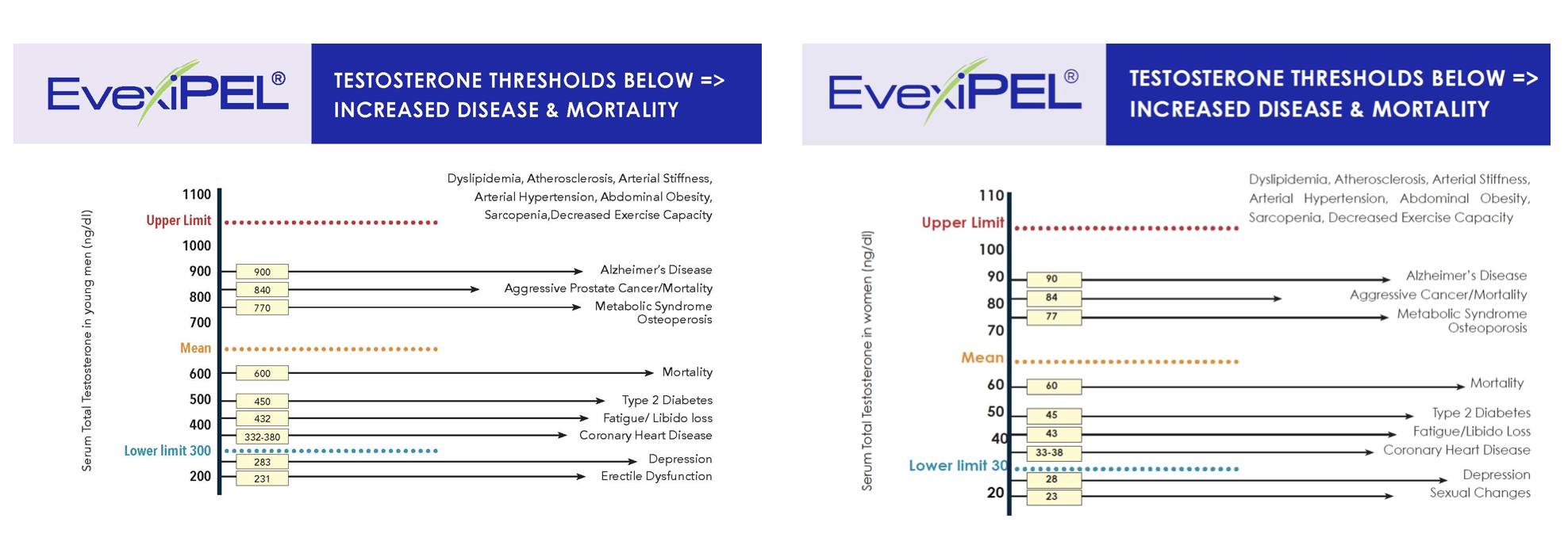 What is Your Testosterone Number and Does it Matter? - Evexias Medical ...